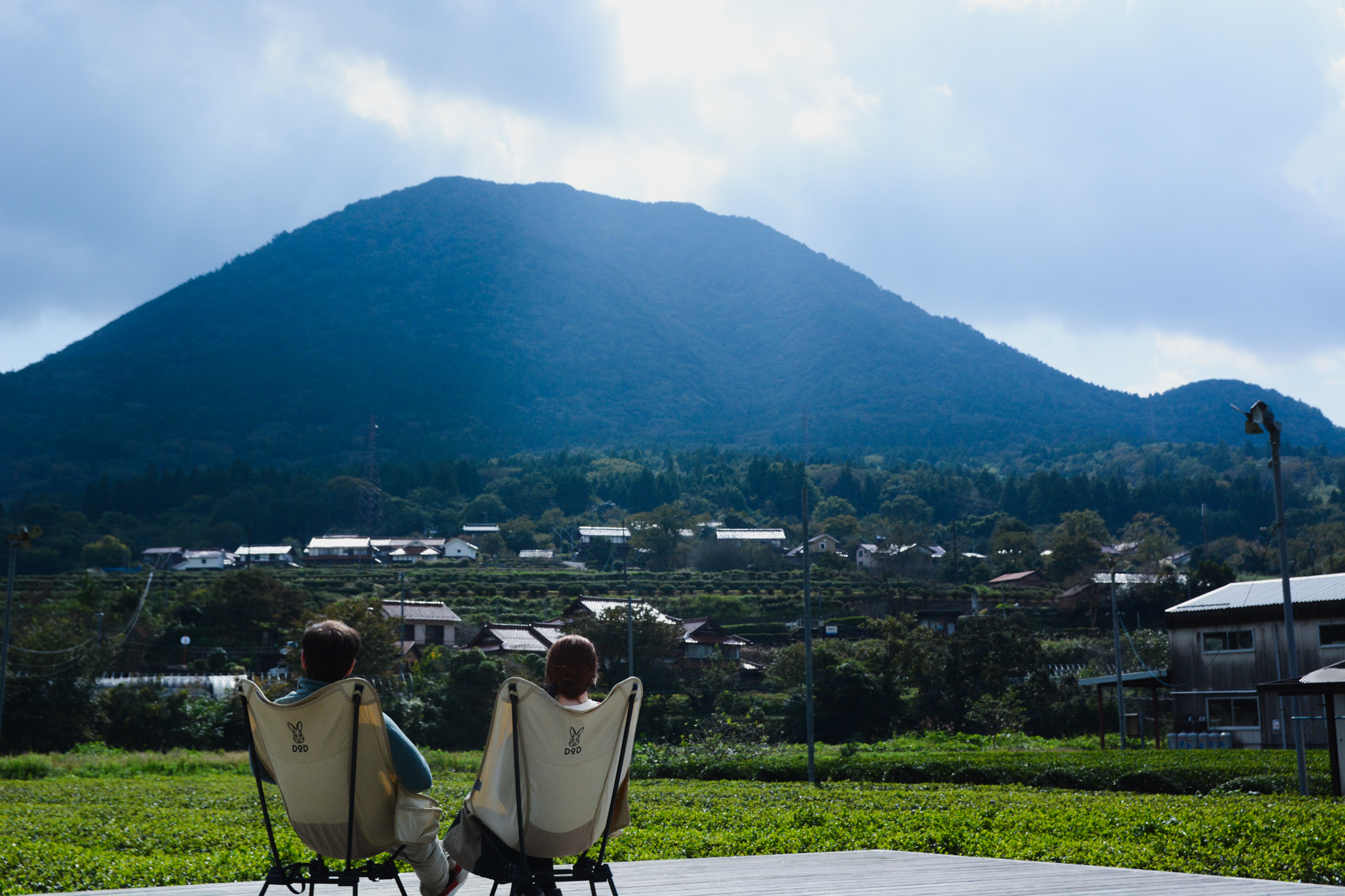 Sencha Experience~Guided Tea Tasting from the Tea Farm Terrace~